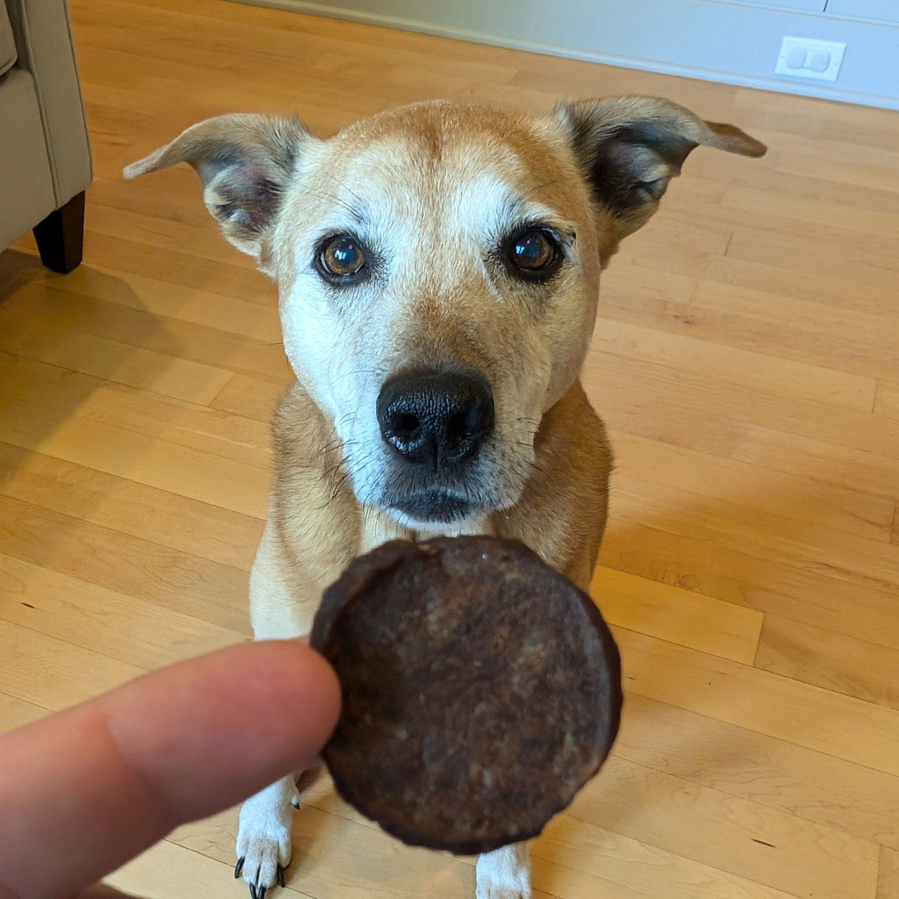 Beef Chip Dog Treats – Farm To Pet