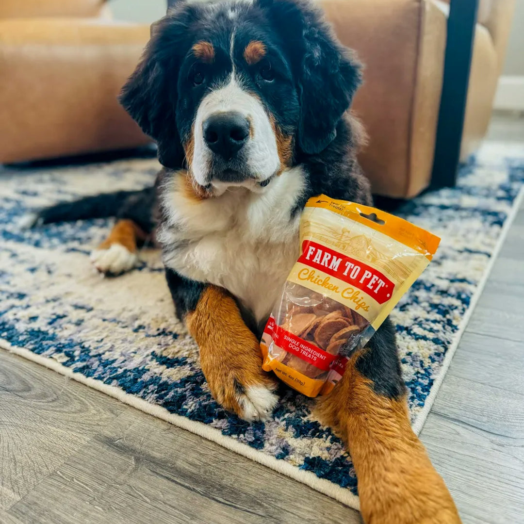 Chicken Chips for Dogs, Healthy Dog Treats – Farm To Pet