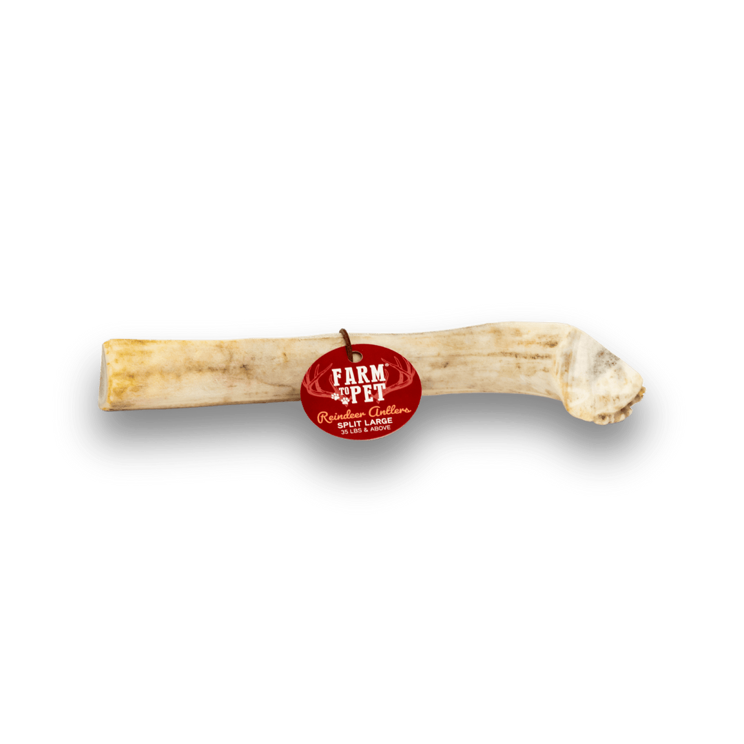 Chicken Chips Healthy Dog Treats – Farm To Pet