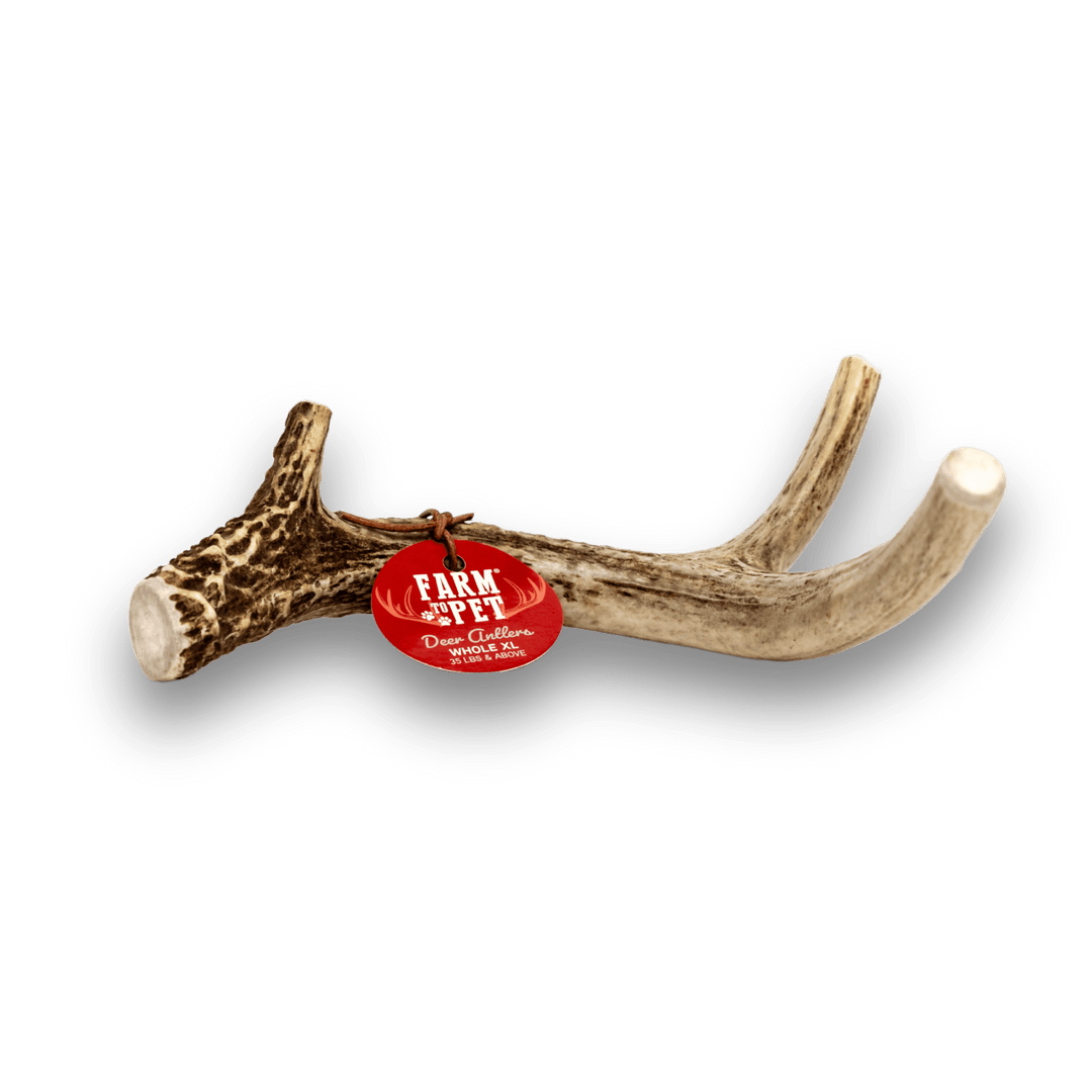 Farm to Pet Dog Antler Chews – Farm To Pet